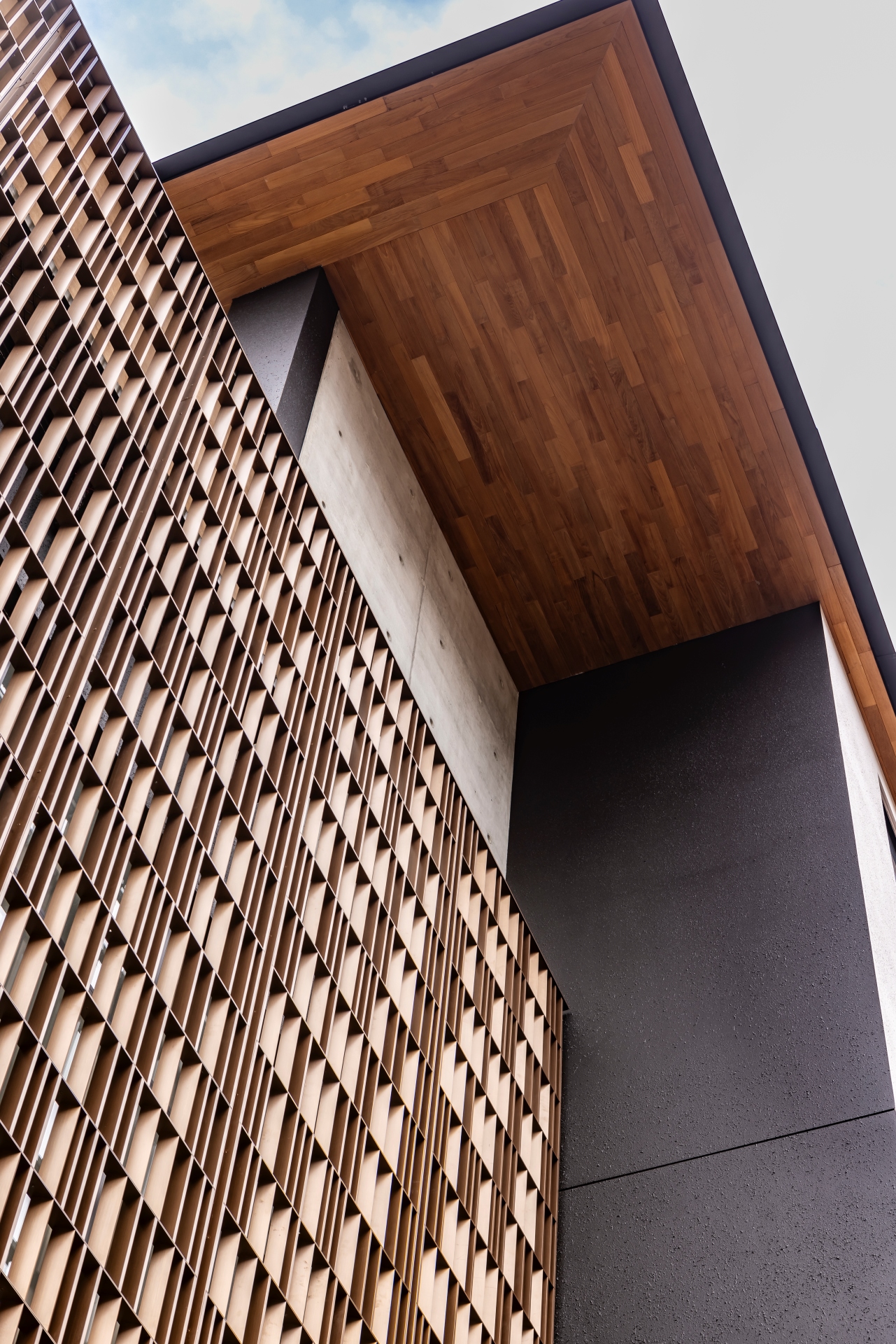 Faber House – Edmund Ng Architects